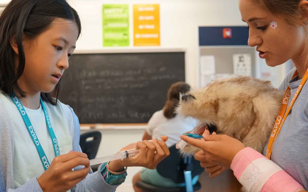 Study Veterinary Science Abroad | Study Abroad Consultancy